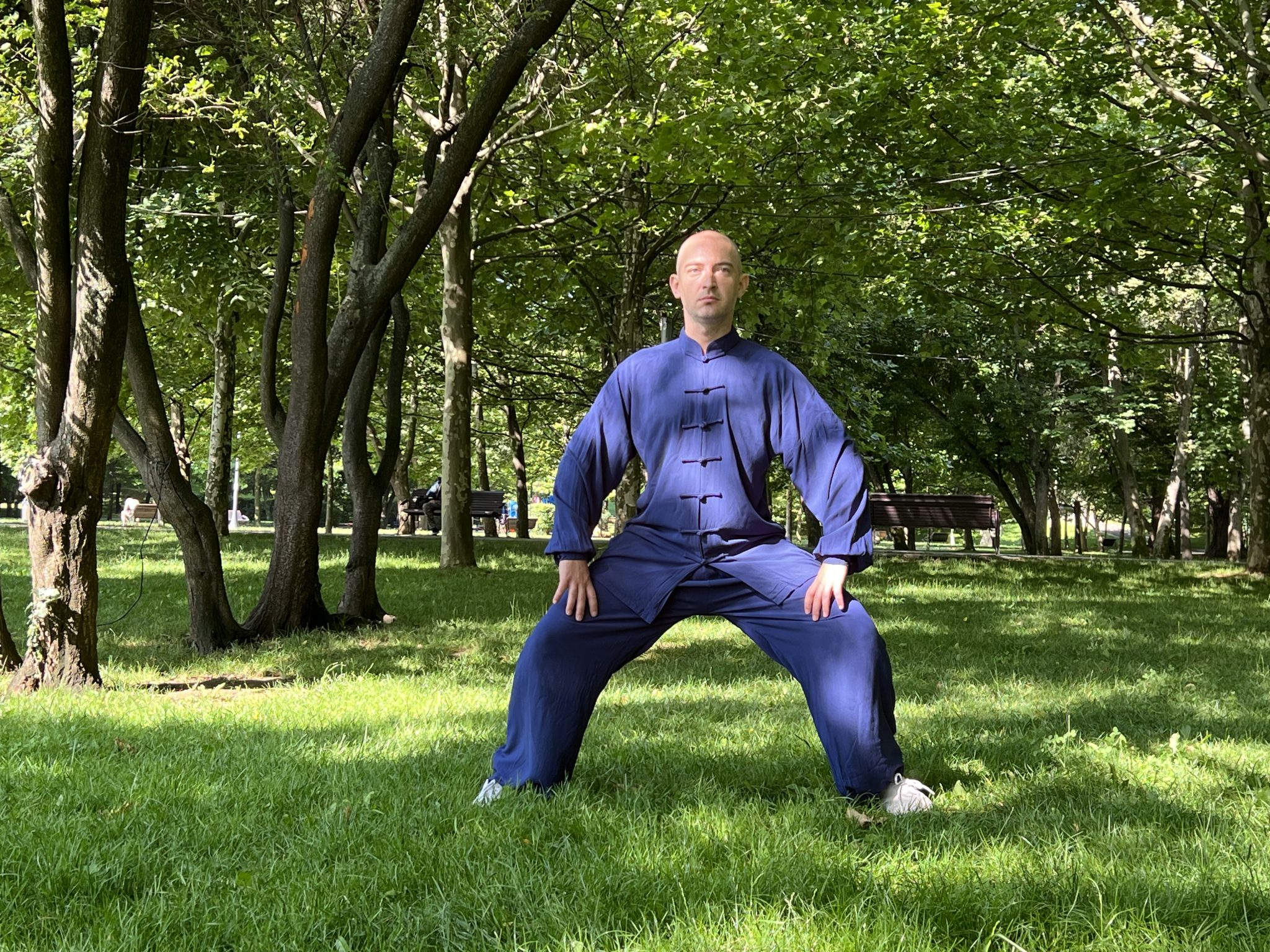 Curs de QiGong pentru terapeuti - Centrul Biofocus